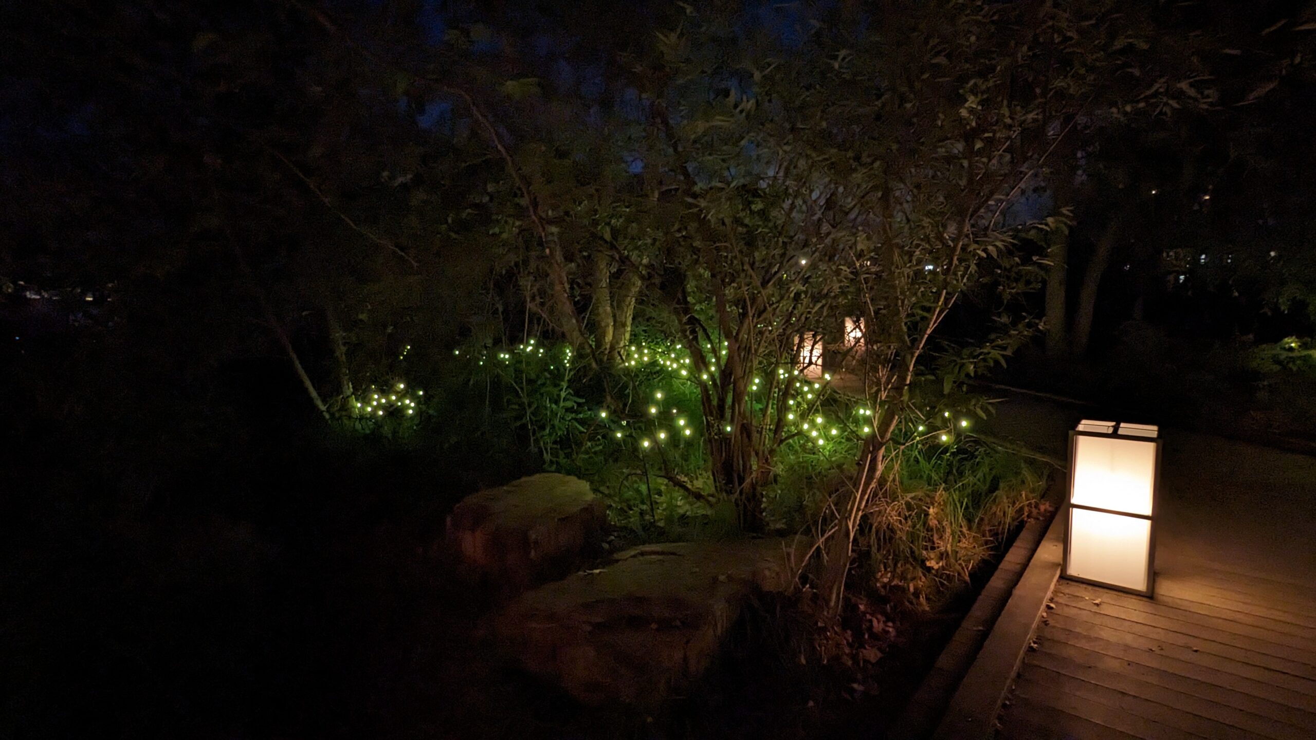 Phoenix Mecano Bolsters Beaudry Interactive's Innovative Lighting Project